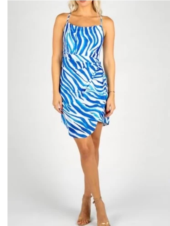 sincerely curls | Dresses | Sincerely Curs Blue And White Animal Print ...